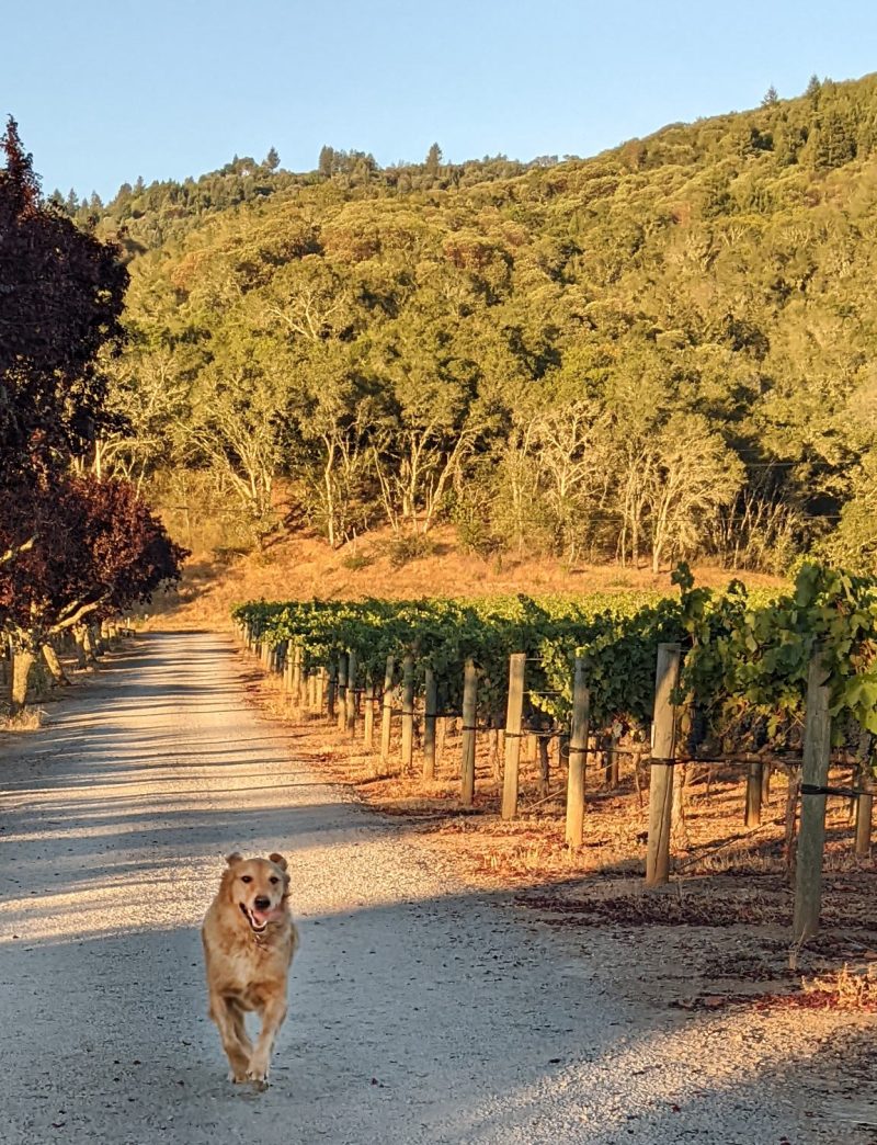 Visit – Kenneth Carl Estate